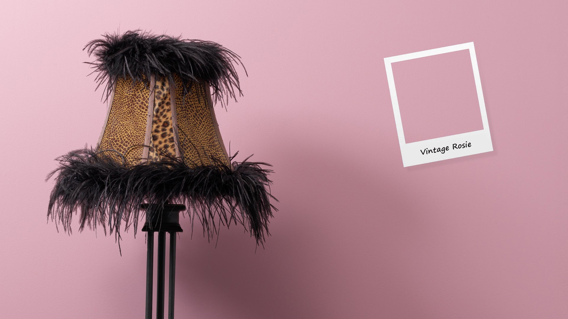 Pink Colour Psychology: What Does Pink Make You Think?