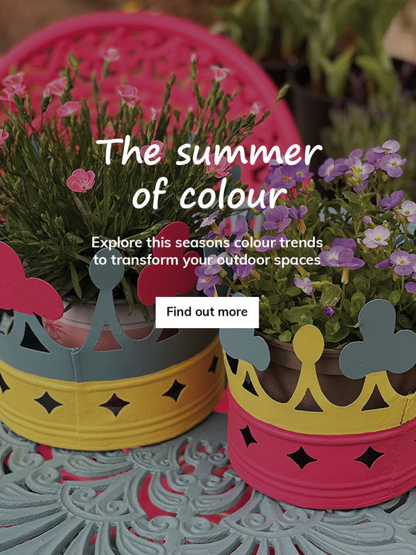 Frenchic Paint | Award-Winning Eco-Friendly Chalk Paint