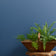 Smooth Operator - Inky Blue Satin Trim Paint | Frenchic