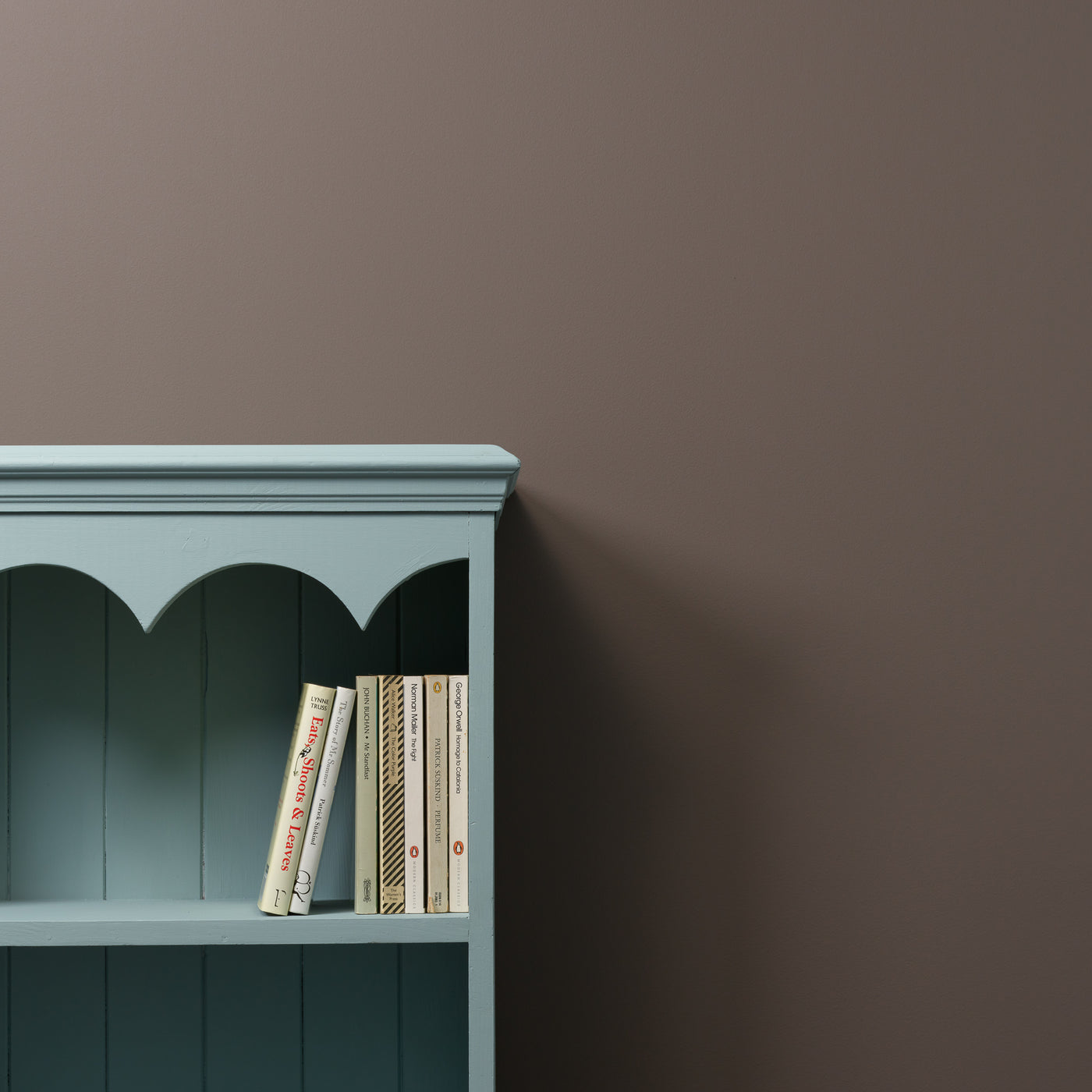 Donkey Derby - Deep Brown Satin Trim Paint | Frenchic
