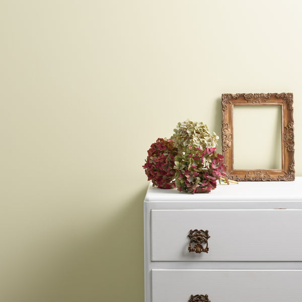 On a Whim - Complex Neutral Chalk Wall Paint | Frenchic