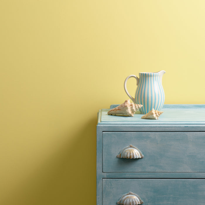 Oopsy Daisy - Fresh Yellow Matte Chalk Wall Paint | Frenchic